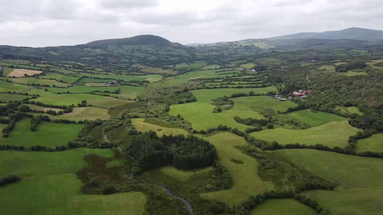 Dunmanway eagle flight. - YouTube