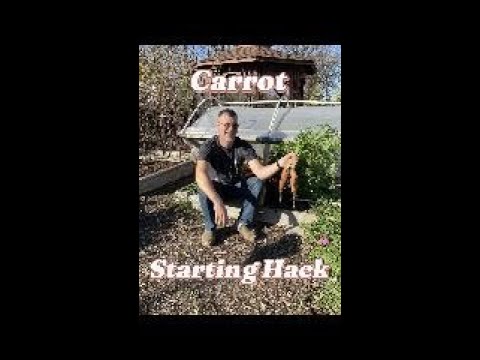 Carrot Hack #gardenhacks #carrot - YouTube