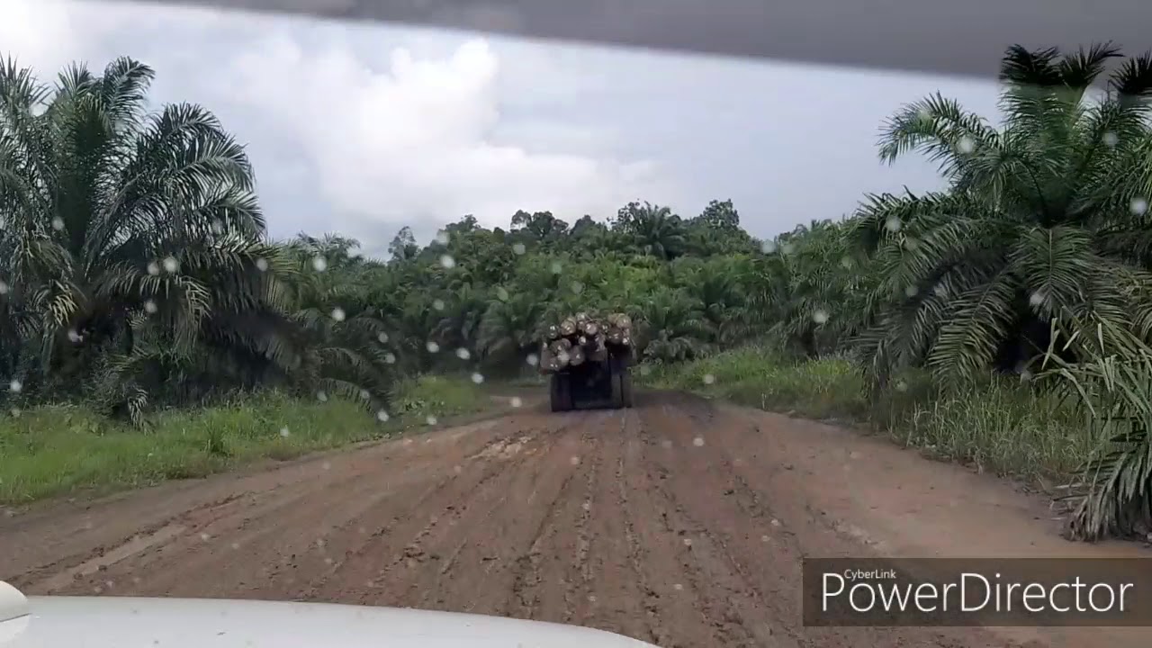Balik Christmas 2019 to Long Pilah ( Baram ) - YouTube