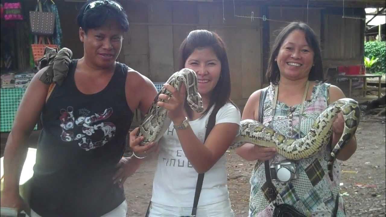 Philippine Python - YouTube