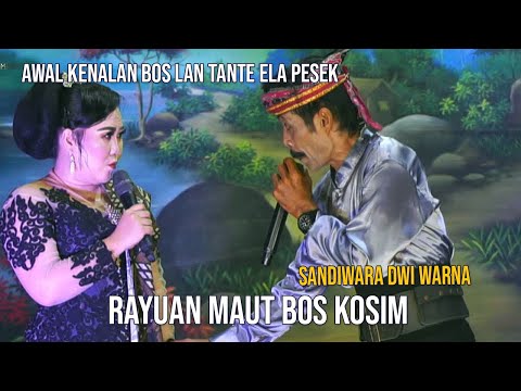 RAYUAN MAUT BOS KOSIM (AWAL KENALAN BOS KOSIM LAN TANTE ELA PESEK ) LIVE SANDIWARA DWI WARANA
