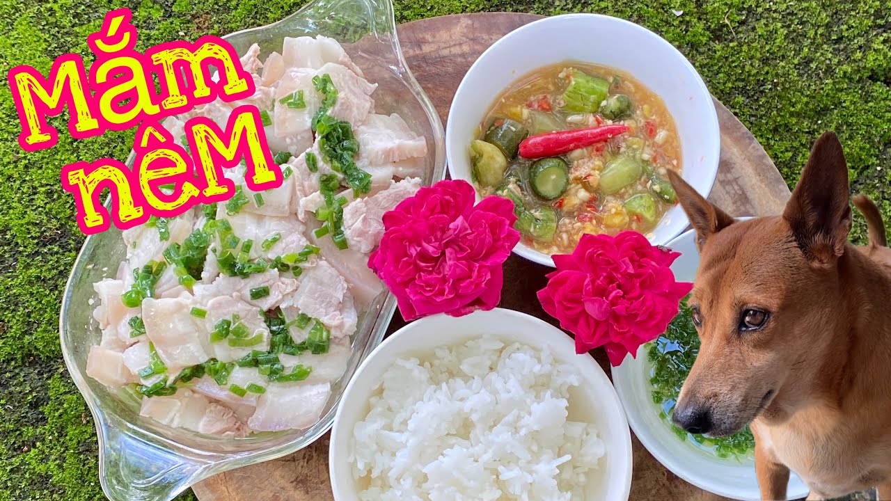 Mam Nem Sauce | Mắm nêm thịt luộc | Đặc Sản Việt | Bella aN - YouTube