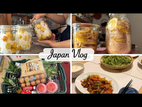 shopping at a sport shop to buy a new toy, make plum syrup and lemon syrup | japan vlog