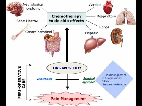 Adverse effects of Anticancer Drugs Or Organ specific Harmful Side ...