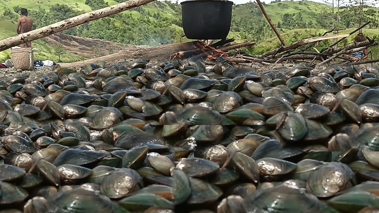 Dig the mud to catch oyster cooking fresh and delicious oyster ...