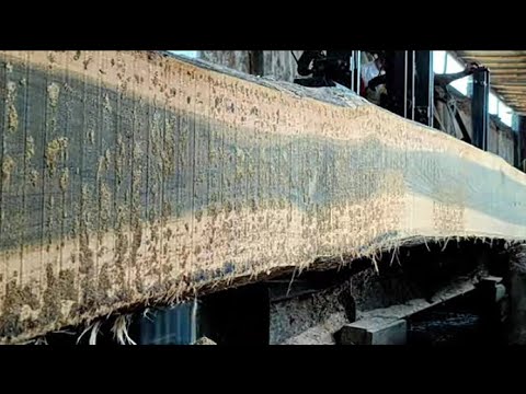 Bütün vücudum ağrıyor. tahta kaldıramayacağım kadar büyük.