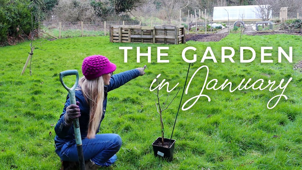 The Garden in January - YouTube