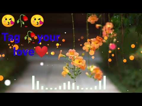 #love#best#status#song#foryou 😘Best status 👍🏿song love new 2021 for you  like ❤️ comments 😘sheyr