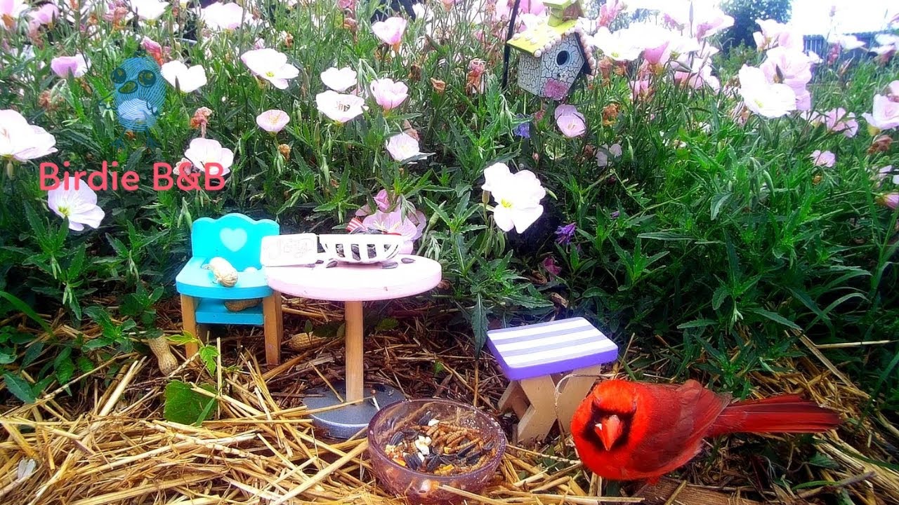 Birdie B&B | Summer Potpourri - YouTube