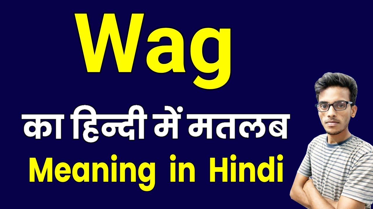 Wag meaning in hindi | wag ka matlab kya hota hai | wag in hindi ...