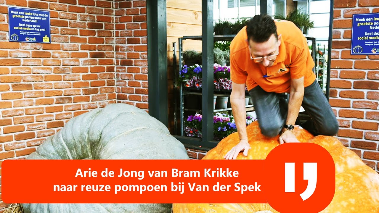 Arie de Jong over Bram Krikke en reuze pompoenen bij Van der Spek - YouTube
