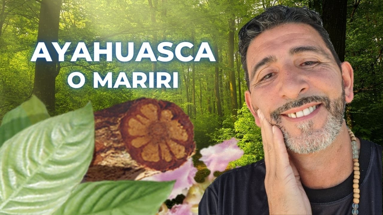 AYAHUASCA - O CIPÓ MARIRI - YouTube