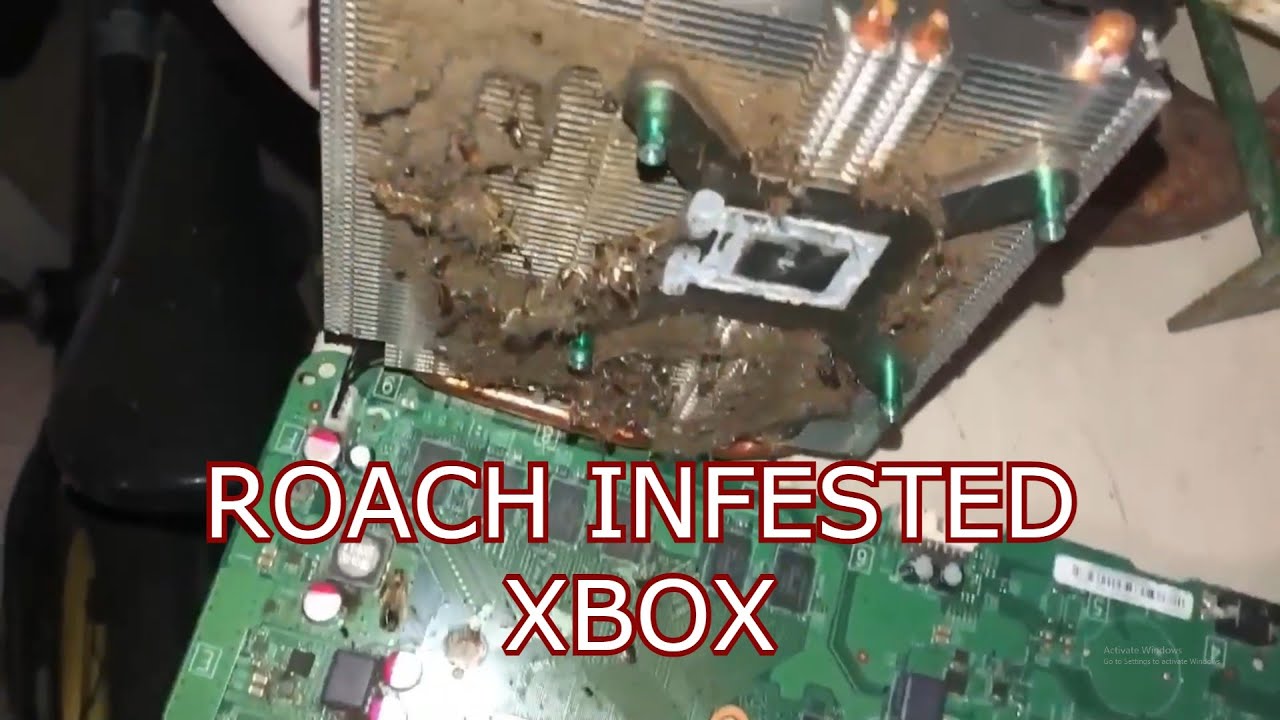 The risks with buying untested ebay items - Roach infested Xbox one S ...