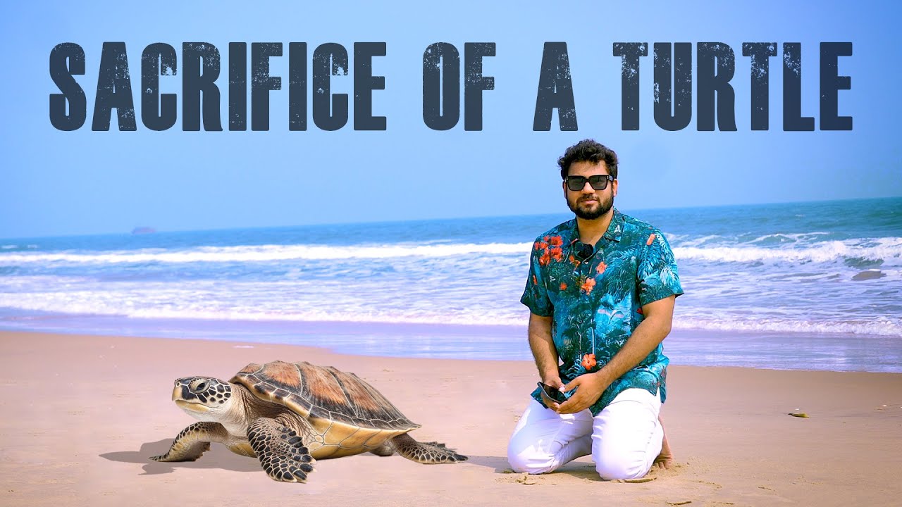 Sacrifice of a Turtle 🐢 | Paraloka Manna | Ps Enosh Kumar | Daily ...