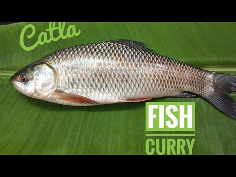 Catla Fish Curry | Lake Fish | Home Cooking | Viyen's - YouTube