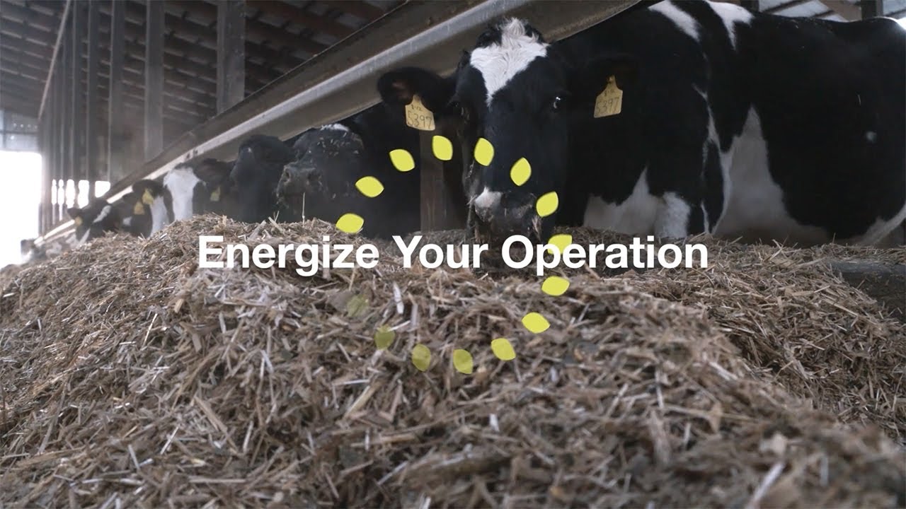Energize Your Operation with Enogen Silage Benefits - YouTube