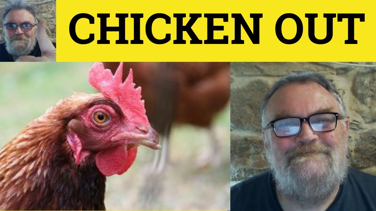 Chicken Out Meaning Chicken Out From Examples Phrasal Verbs chicken-out-meaning-chicken-out-from-examples-phrasal-verbs
