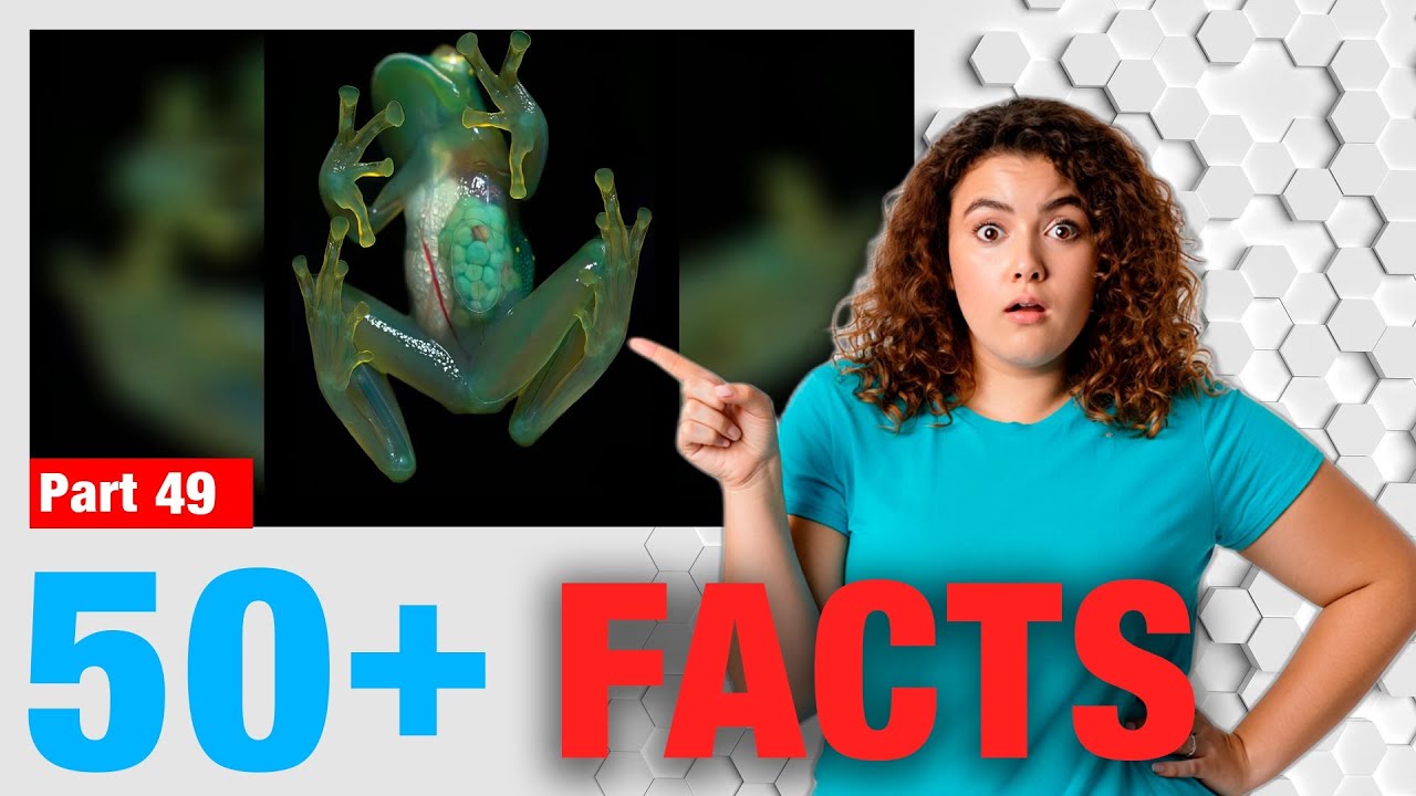 50 Unbelievable Facts | Facts That Will Blow Your Mind - YouTube