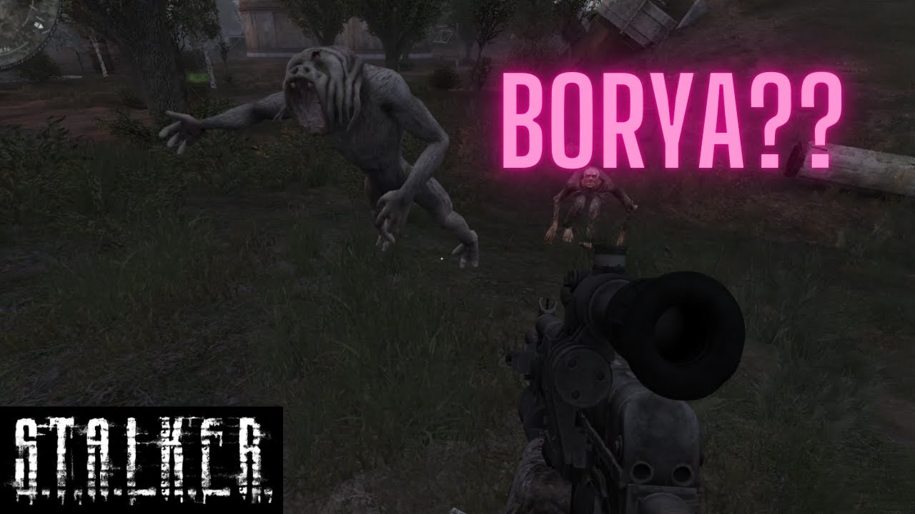 STALKER | BORYA MUTANT?? | ANOMALY - YouTube