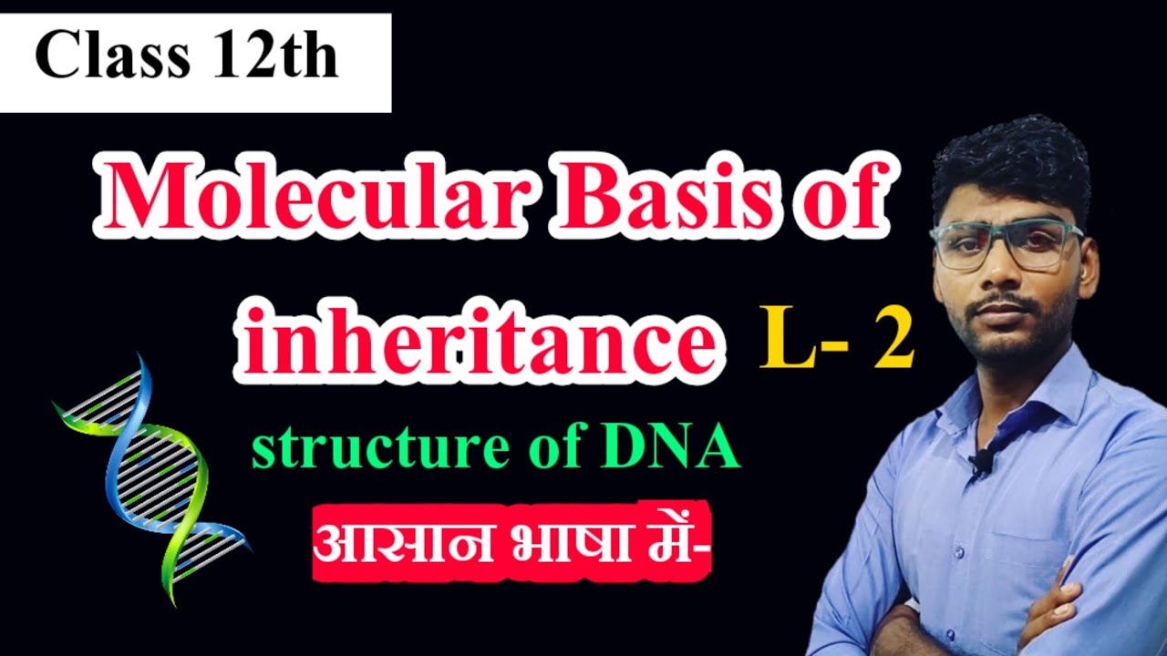 molecular basis of inheritance class 12th || molecular basis of ...