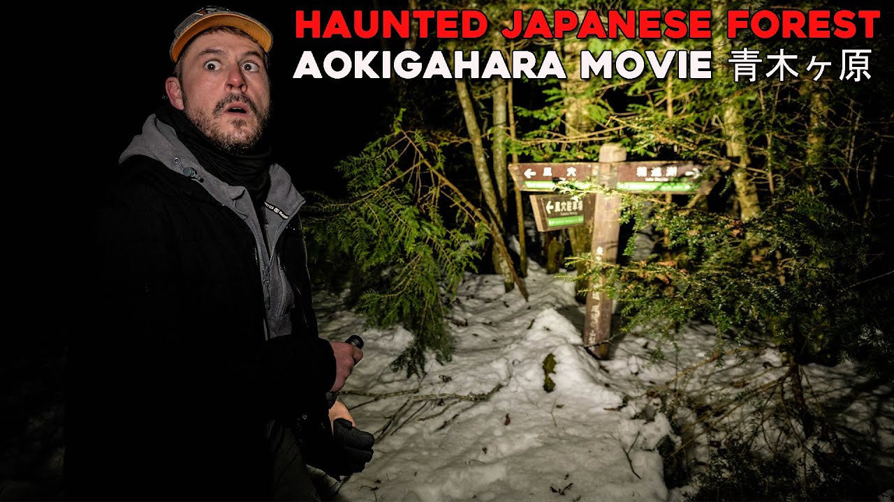 I CAMPED ALONE IN JAPANS MOST HAUNTED FOREST FOR 5 DAYS | SCARIEST ...