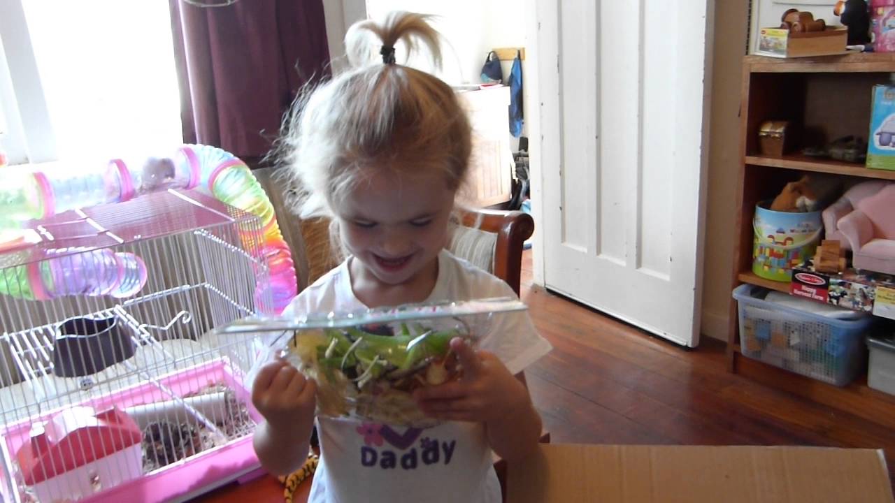 Surprises From Rachel (1) - YouTube