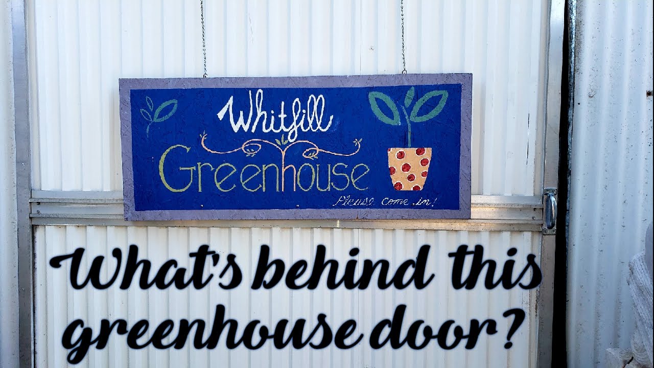 Shopping at Whitfill Nursery March 2022 - YouTube