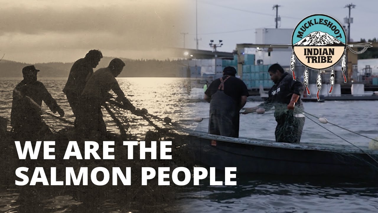 The Salmon People's Struggle to Survive: the Story of Muckleshoot ...
