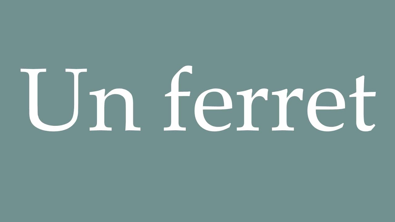 How to Pronounce ''Un ferret'' (A Ferret) Correctly in French - YouTube