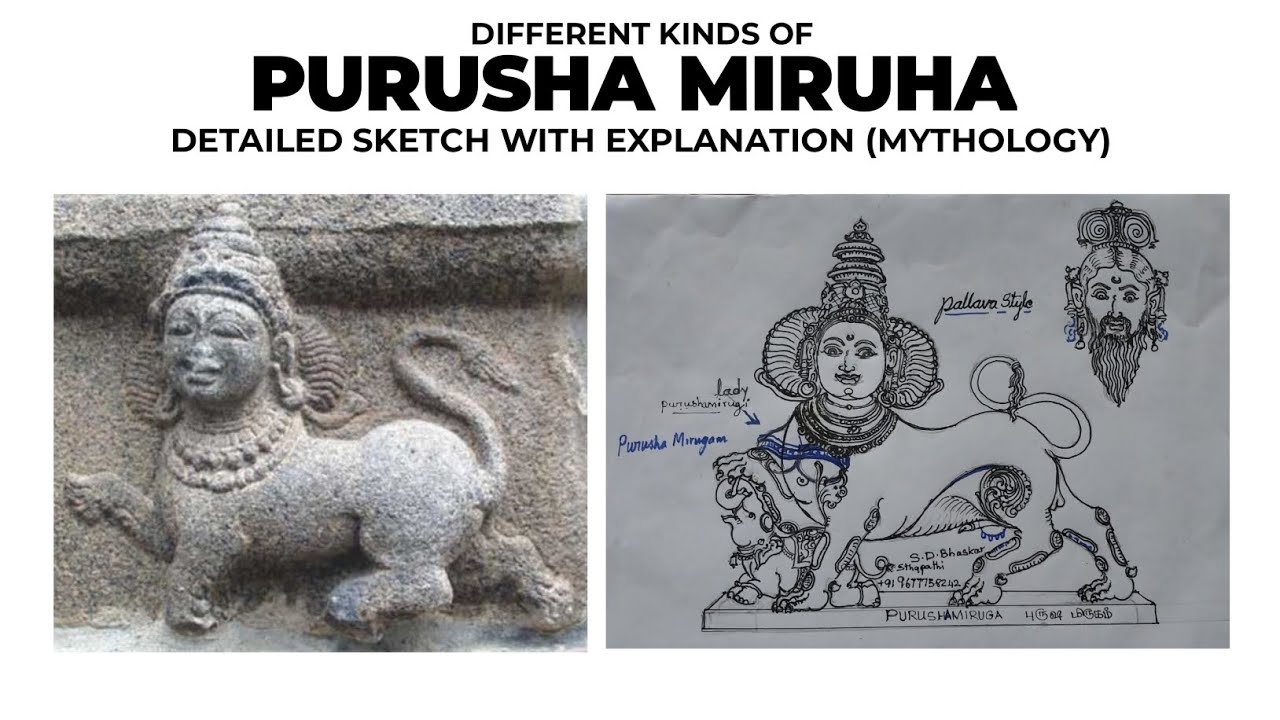 DIFFERENT KINDS OF PURUSHA MIRUHA DETAILED SKETCH WITH EXPLANATION ...
