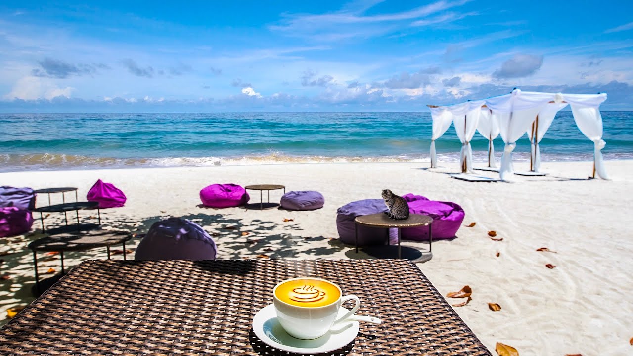 Outdoor Beach Cafe Ambience & Bossa Nova Music, Ocean Wave Sounds, Cafe ...