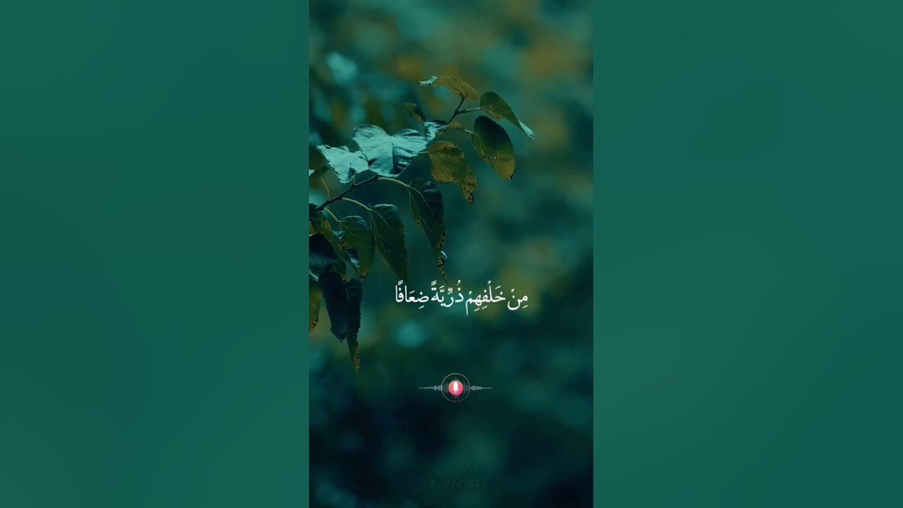 وليخش الذين لو تركوا من خلفهم ذرية ضعافًا تلاوة خاشعة اسلاميات ادعية