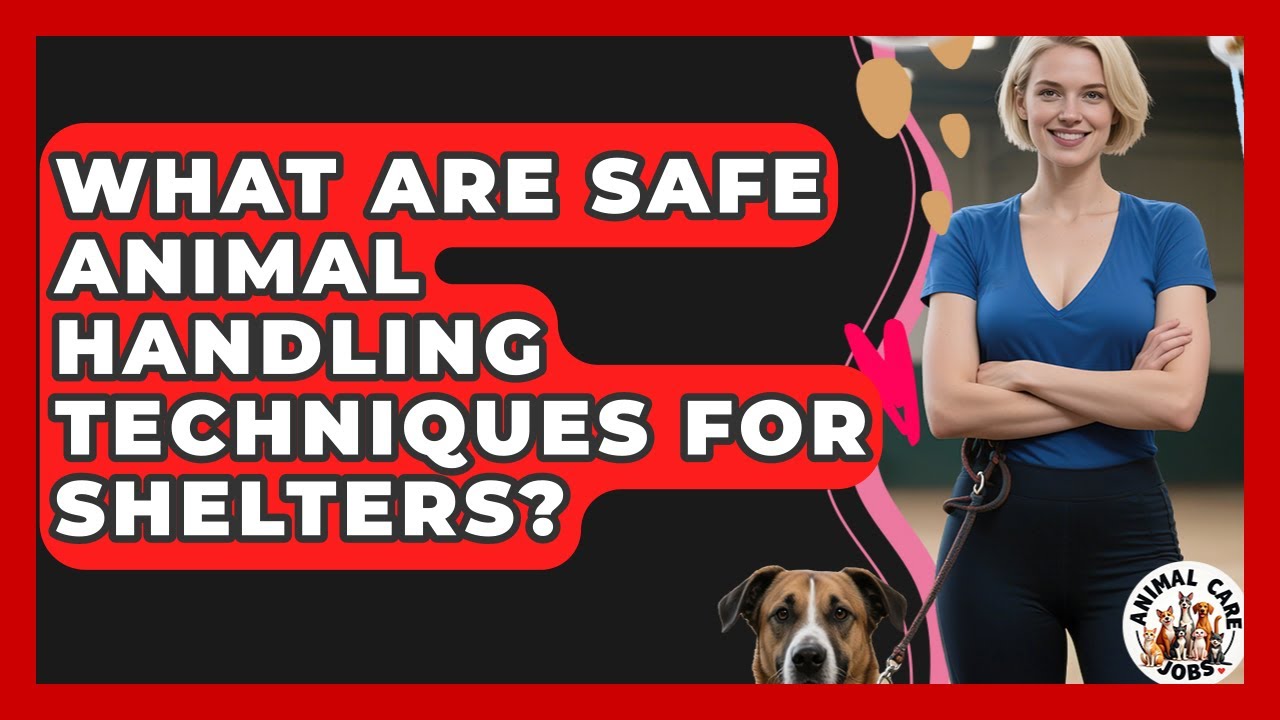 What Are Safe Animal Handling Techniques For Shelters? - Animal Care ...