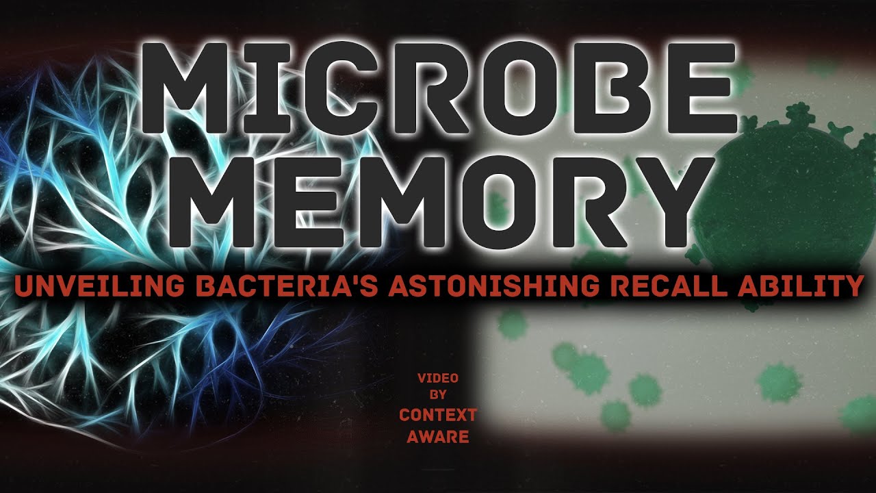 Microbe's Secret Memory Unveiled! | Context Aware - YouTube