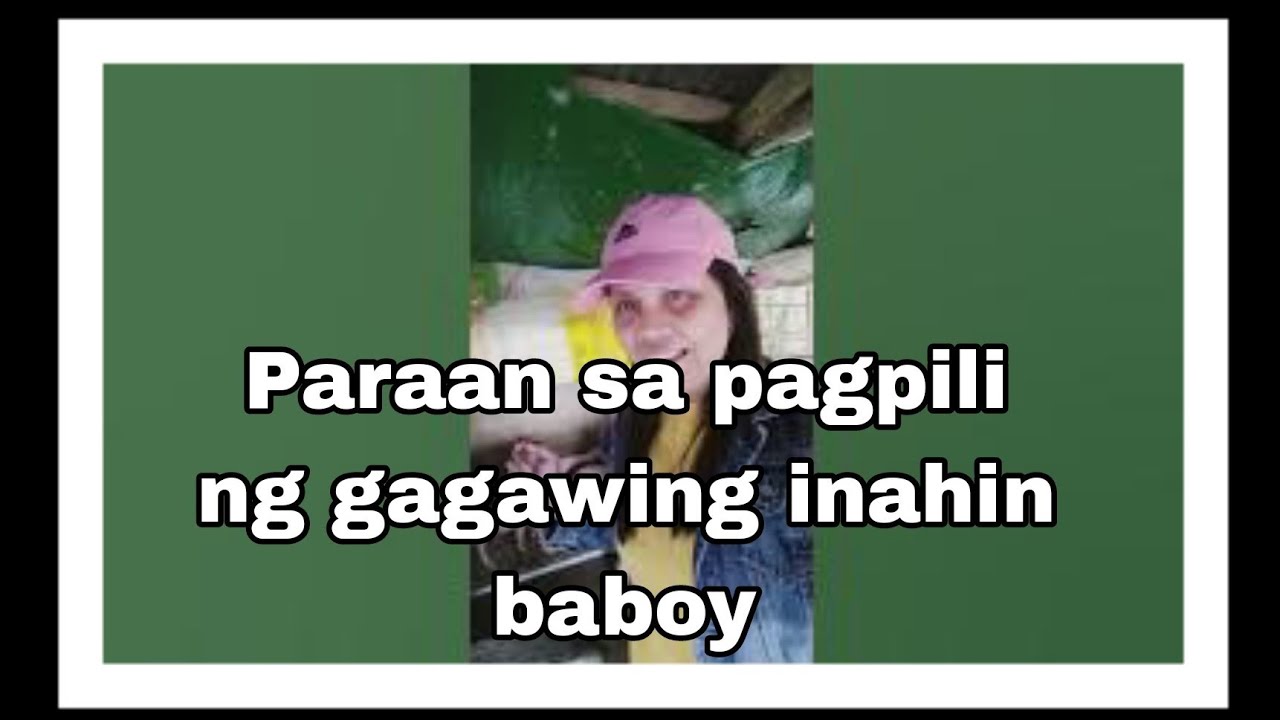 Paano maghanap ng magandang inahin baboy - YouTube