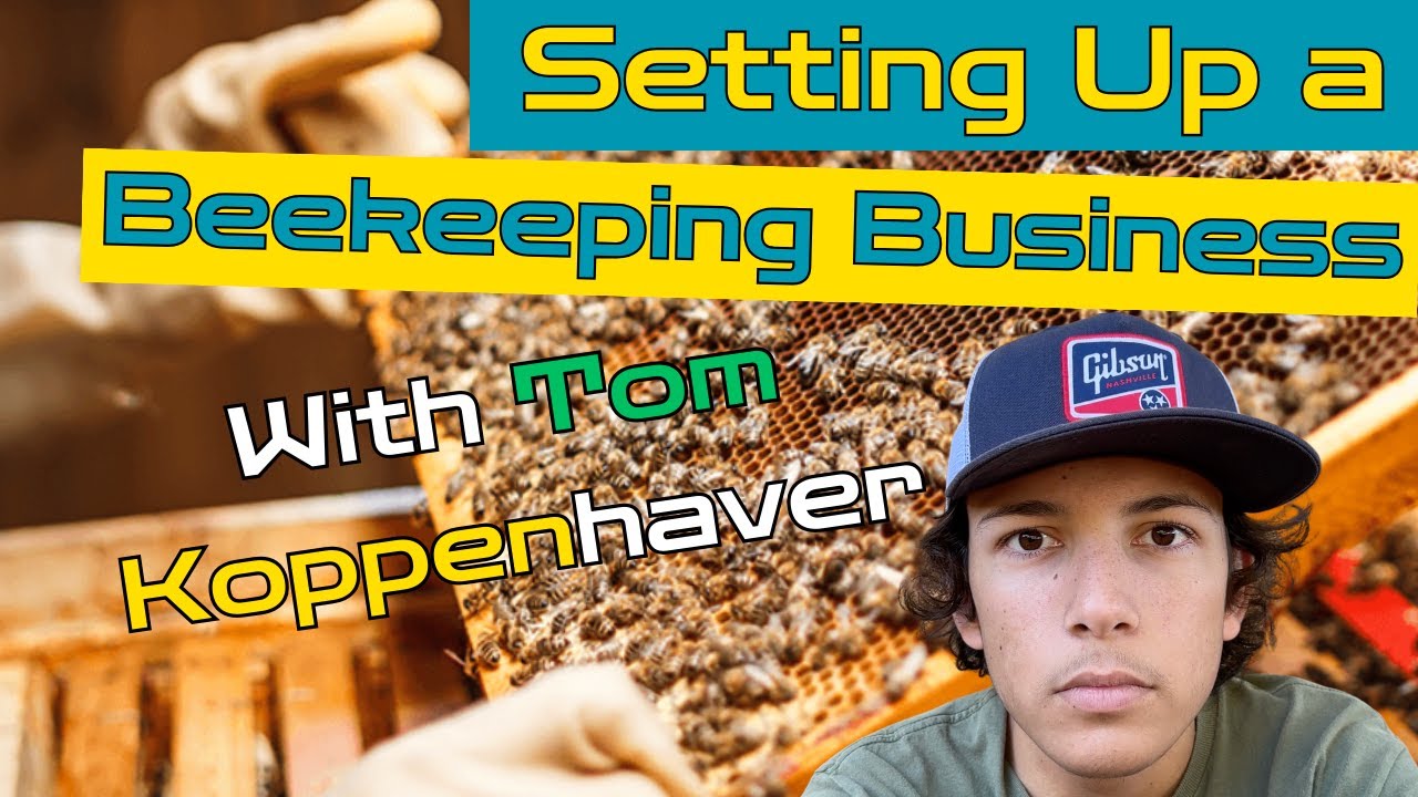 WILDWOODS BEEKEEPING CHAT with TOM KOPPENHAVER - Setting Up A ...
