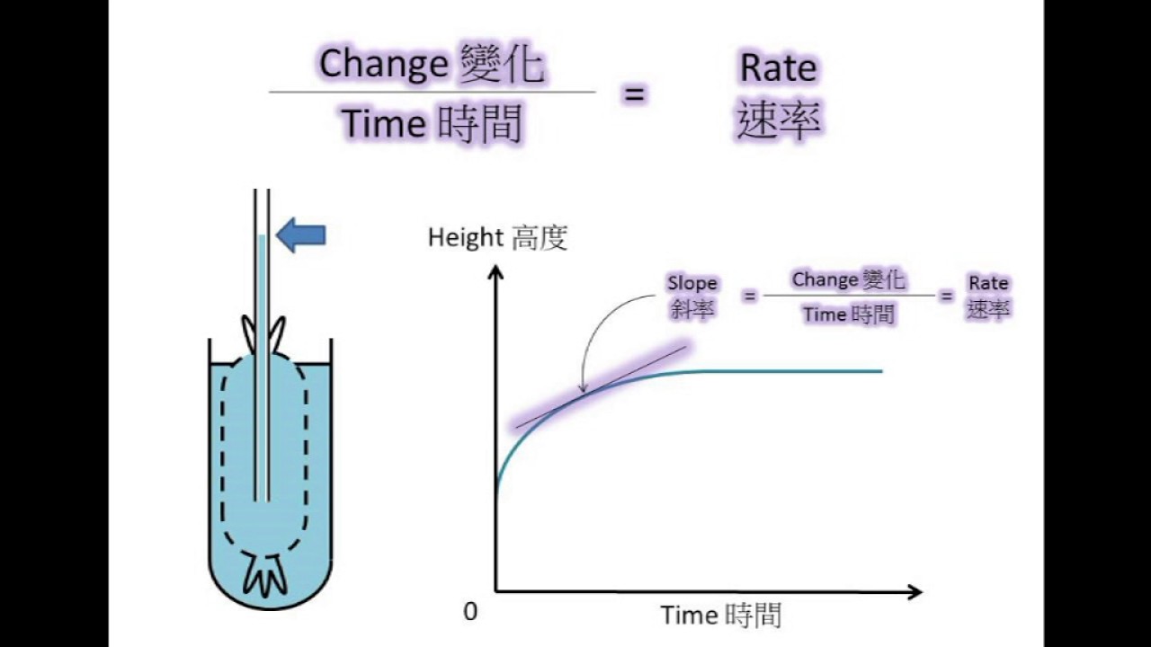 SBA DSE Bio How To Measure Rate Of Osmosis Osmosis 4 sba-dse-bio-how-to-measure-rate-of-osmosis-osmosis-4