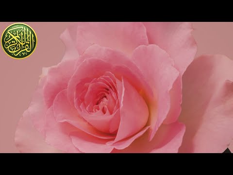 Uyan Şu Gafletten Allah Aşkına - Beytullah Kuzu