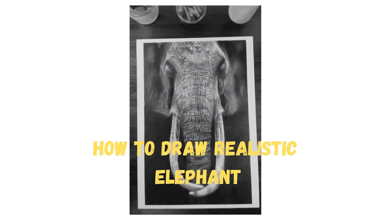How to draw Realistic Elephant! Amazing Drawings - YouTube