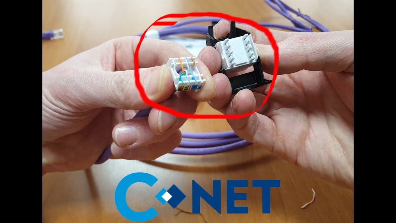 CNET CAT6 UTP KEYSTONE Toolless Module QUKEYSTONEC6 - YouTube