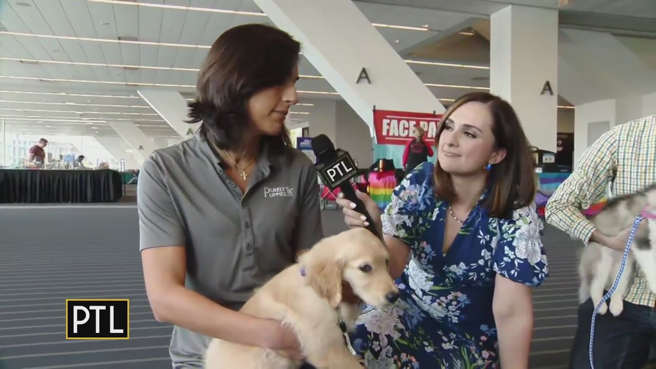 Team PTL found adorable pups at the Pittsburgh Home and Garden Show - YouTube