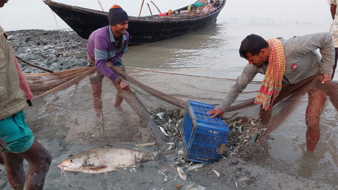 Datne Fish Catching Cast Net In Sundarbans | Fishing Video | Costal ...