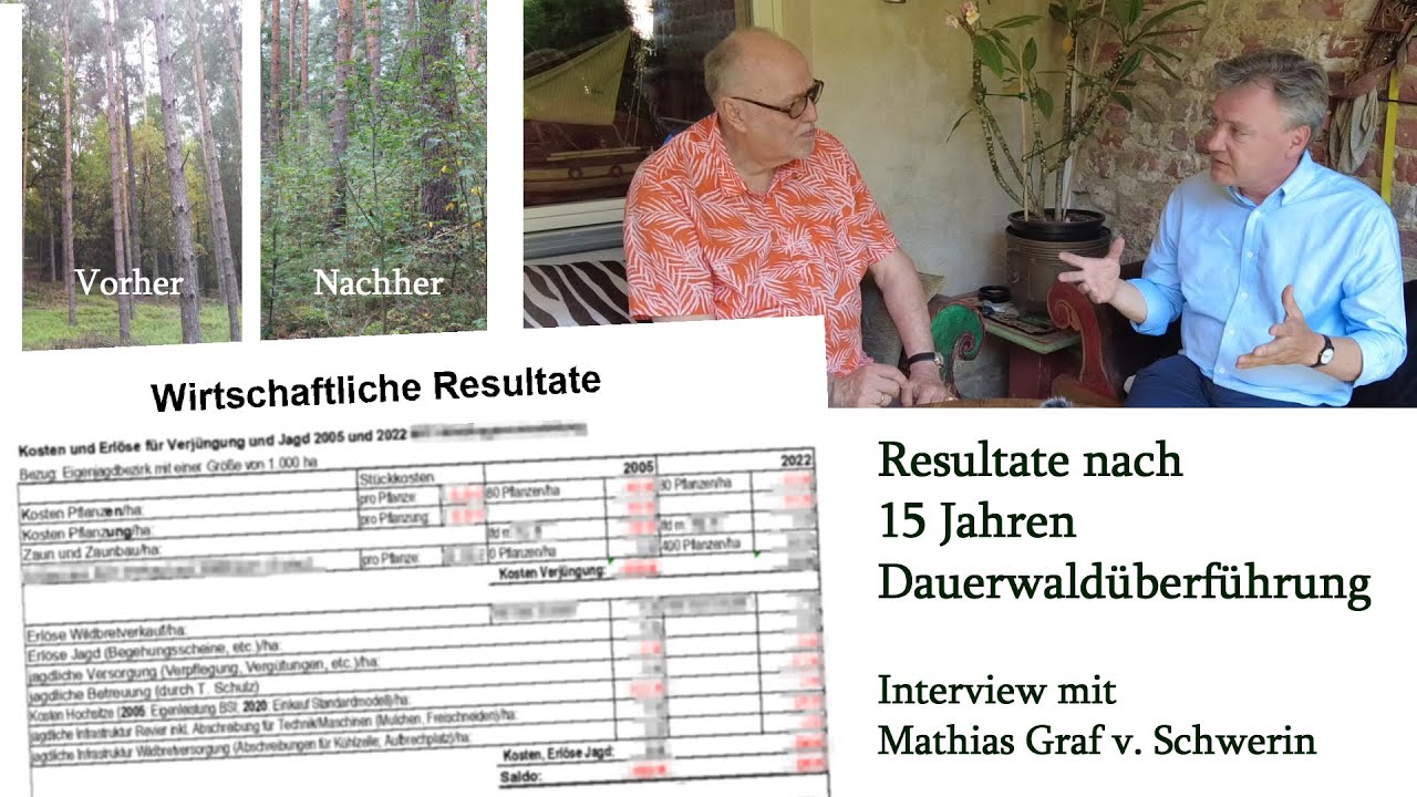 Finanzielles Erfolgskonzept Dauerwald - Interview mit Mathias Graf v. Schwerin - YouTube