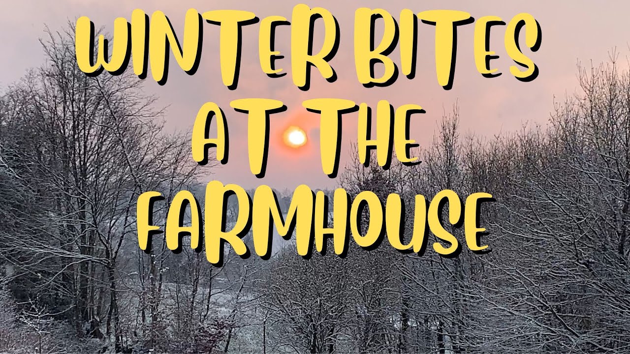 # 140. WINTER BITES AT THE FARMHOUSE - YouTube