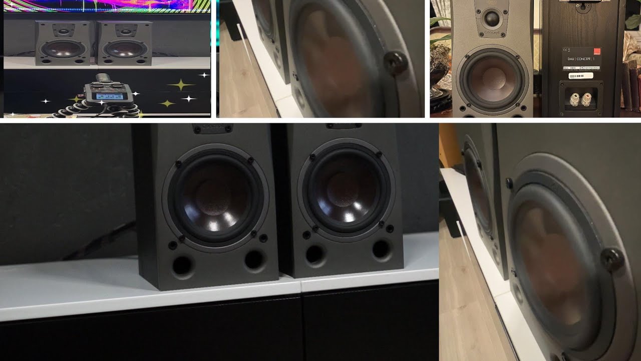 DALI CONCEPT 1 bookshelf speaker sound test(zoom h6) - YouTube