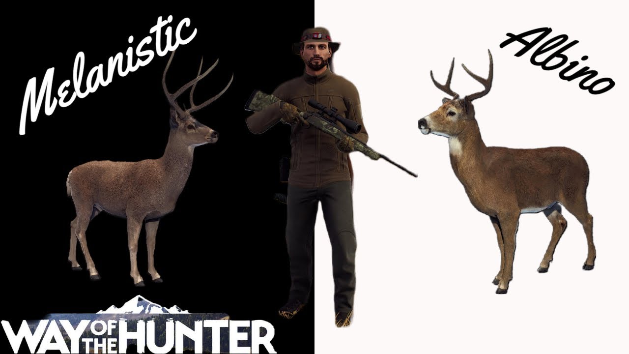 Types Of Hunt