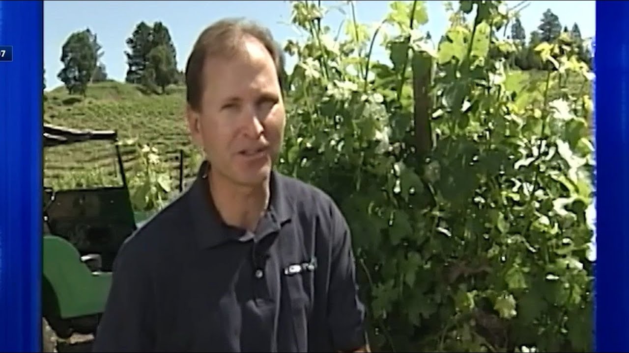 Revisit Mark Finan's 2007 'Wine and Weather' series - YouTube