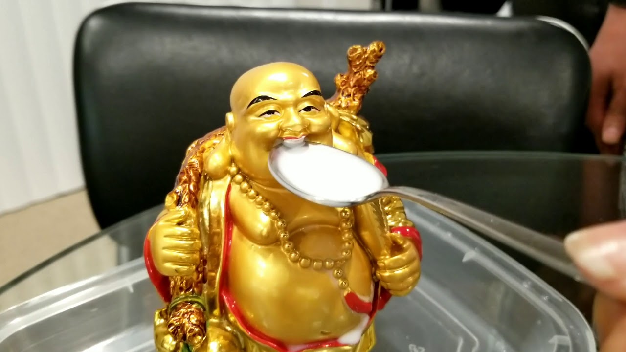 Laughing buddha drinking milk ! - YouTube