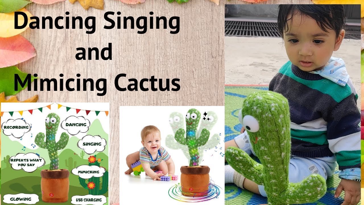 Mimicing Cactus|Singing Dancing and Recording cactus|How Baby play and ...