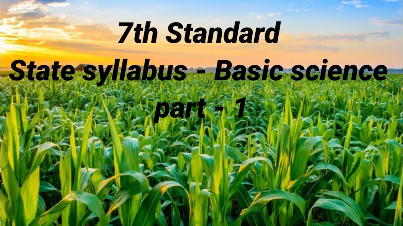 7th Standard Basic Science YouTube 7th-standard-basic-science-youtube